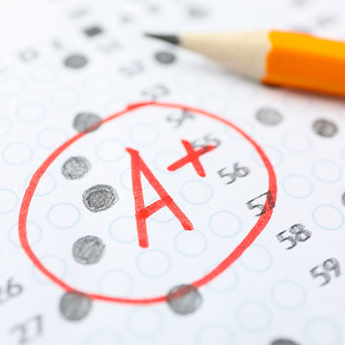 The Complete MS1 Anatomy Anki Deck
