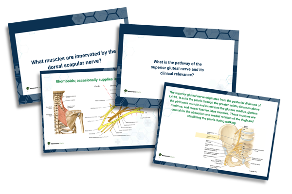 The Complete MS1 Anatomy Anki Deck