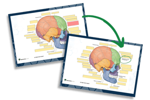 The Complete MS1 Anatomy Anki Deck
