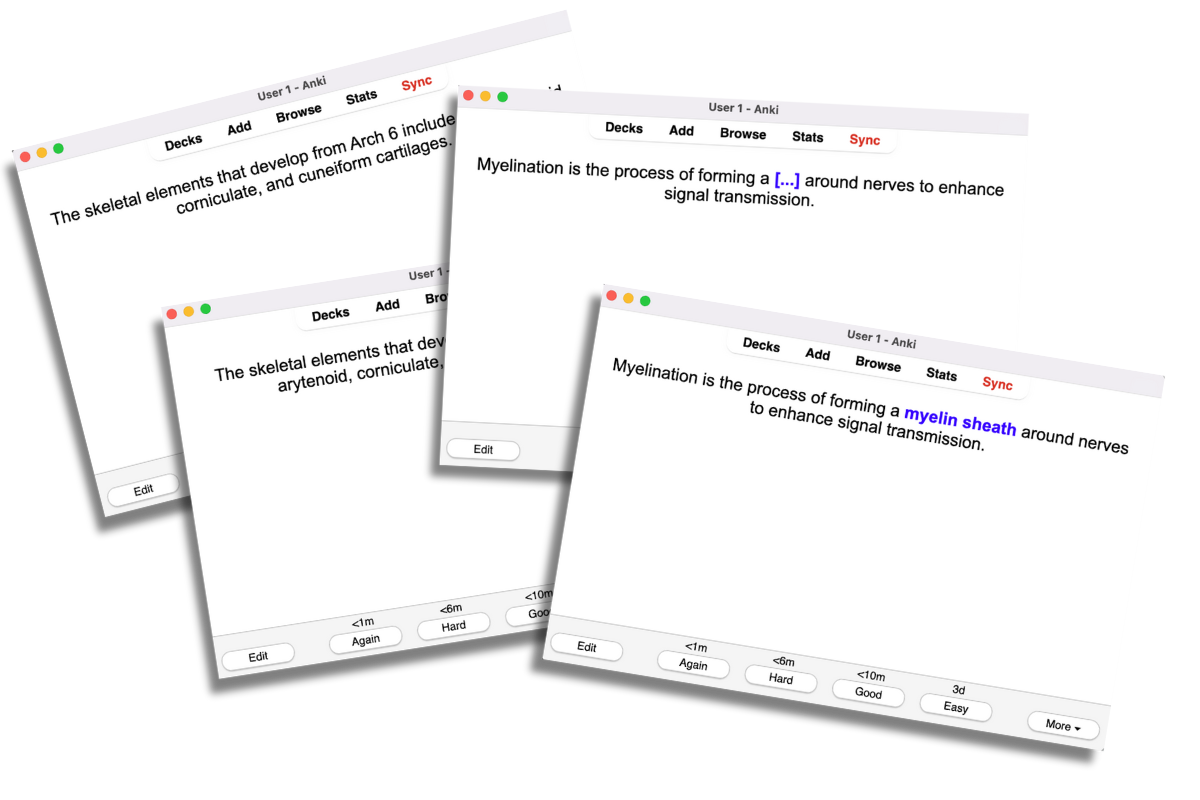 High-Yield Embryology Fact Sheets & Anki Deck
