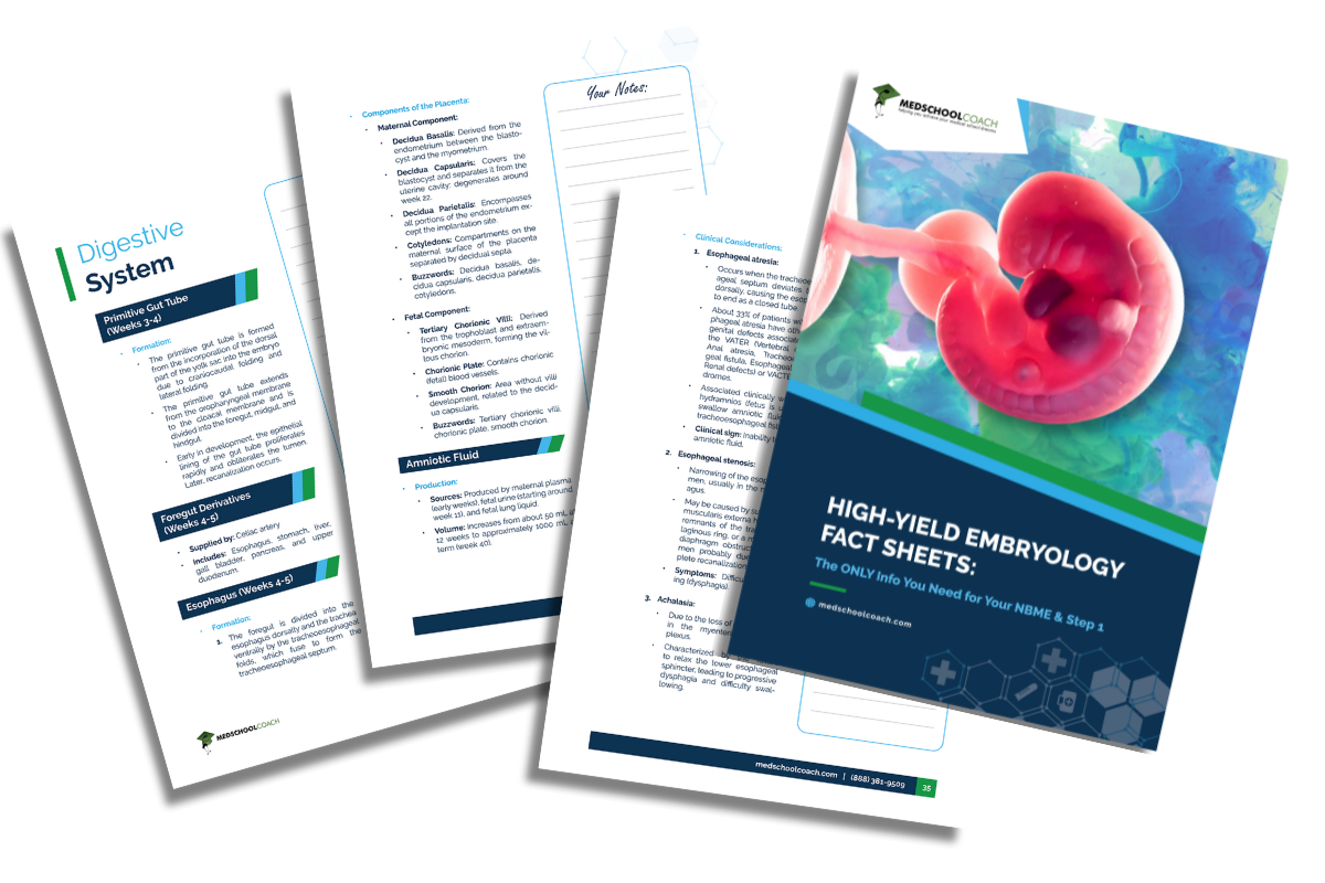High-Yield Embryology Fact Sheets & Anki Deck