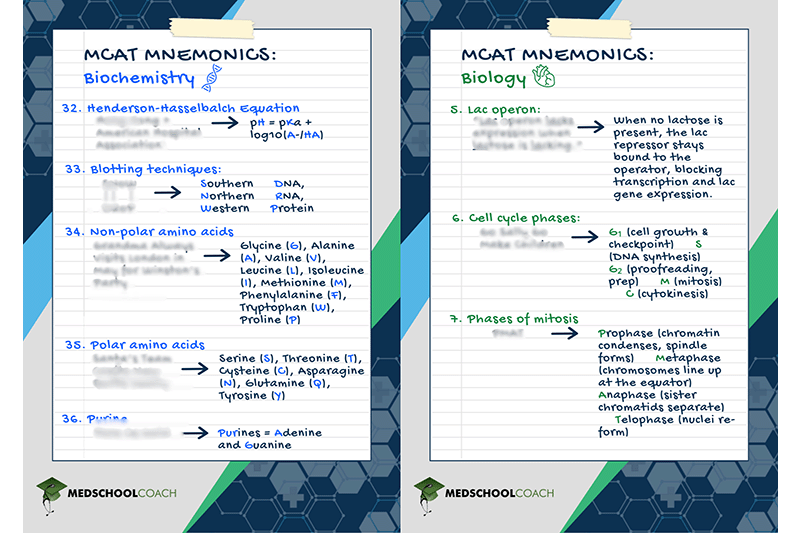 50 Must-Know MCAT Mnemonics