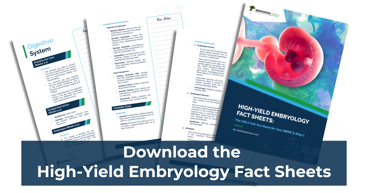 High-Yield Embryology Fact Sheets & Anki Deck